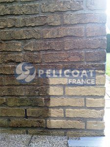 PELICOAT France | Professional cleaning products for your walls ...